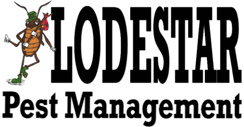 Lodestar Pest Management Services | We Send Bugs Packing